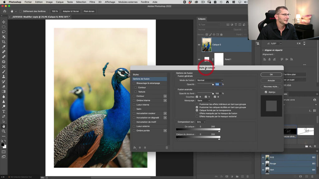 Comment créer un cadre pour ses photos avec Photoshop - Olivier Rocq