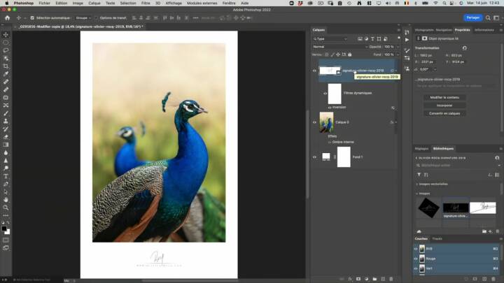 Comment créer un cadre pour ses photos avec Photoshop - Olivier Rocq