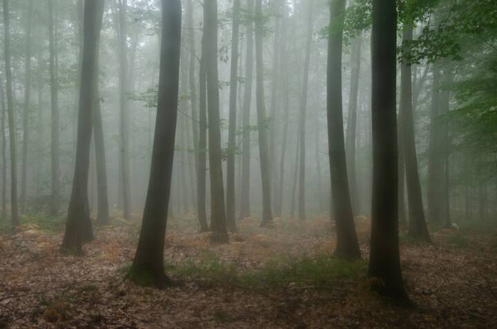 Créer une ambiance ONIRIQUE dans une photo - Olivier Rocq