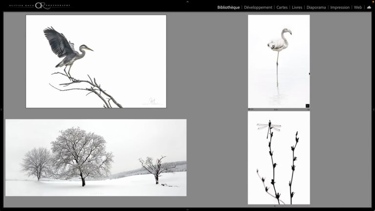 Comment créer une photo HIGH-KEY dans LIGHTROOM 2023