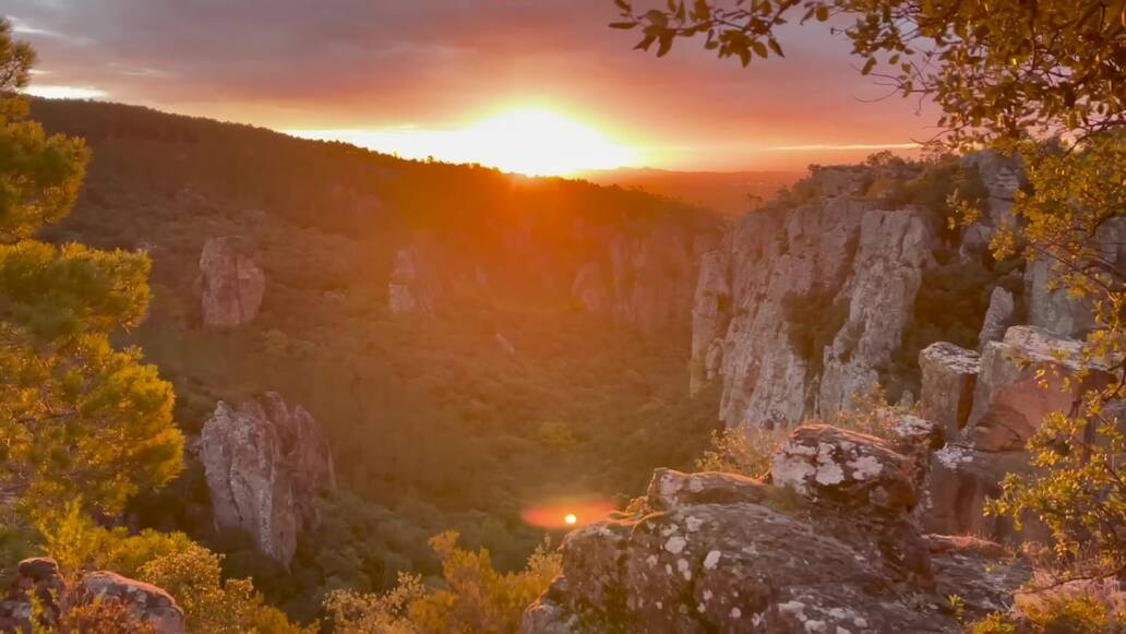 La technique du vertorama en composition photographique